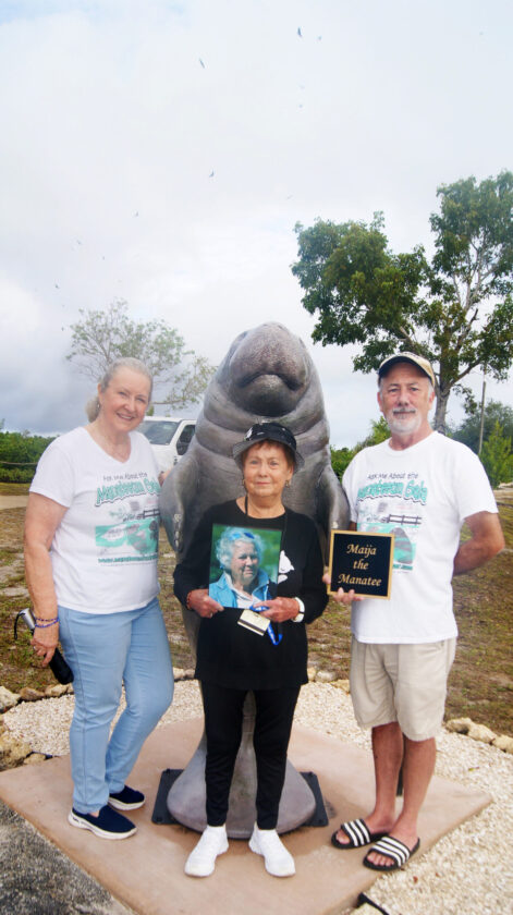 ‘Maija the Manatee’ sculpture unveiled at Sirenia Vista Park ...